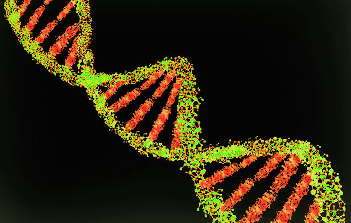 Fight forced DNA collection