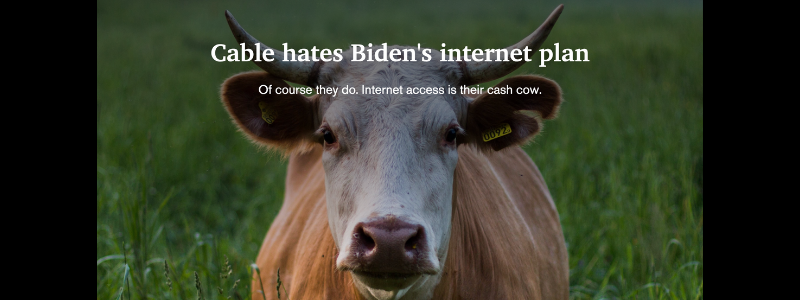 Cash Cows Block Rural Internet