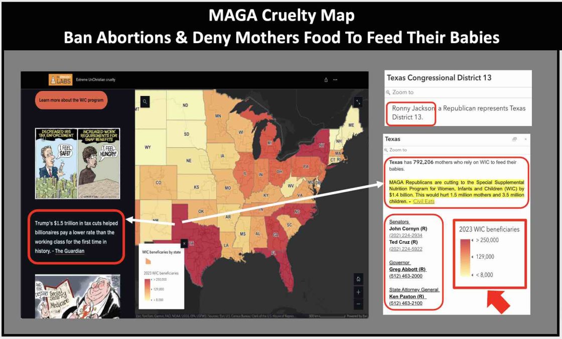 MAGA Cruelty Map: Where Abortions Are Banned And Mothers Denied Food To ...