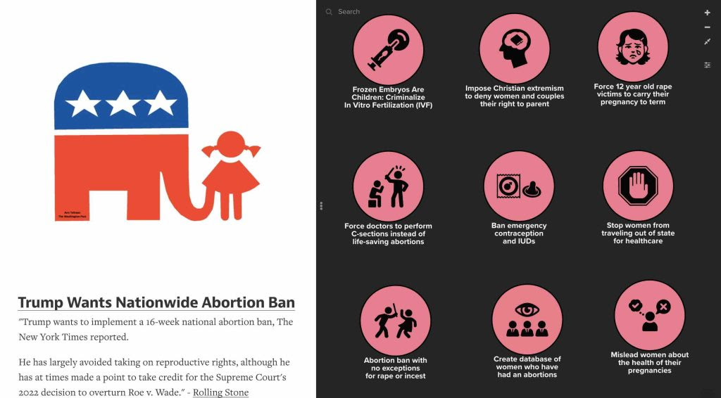 NATIONAL ABORTION BAN: Project 2025 Illustrated Guide For Trump
