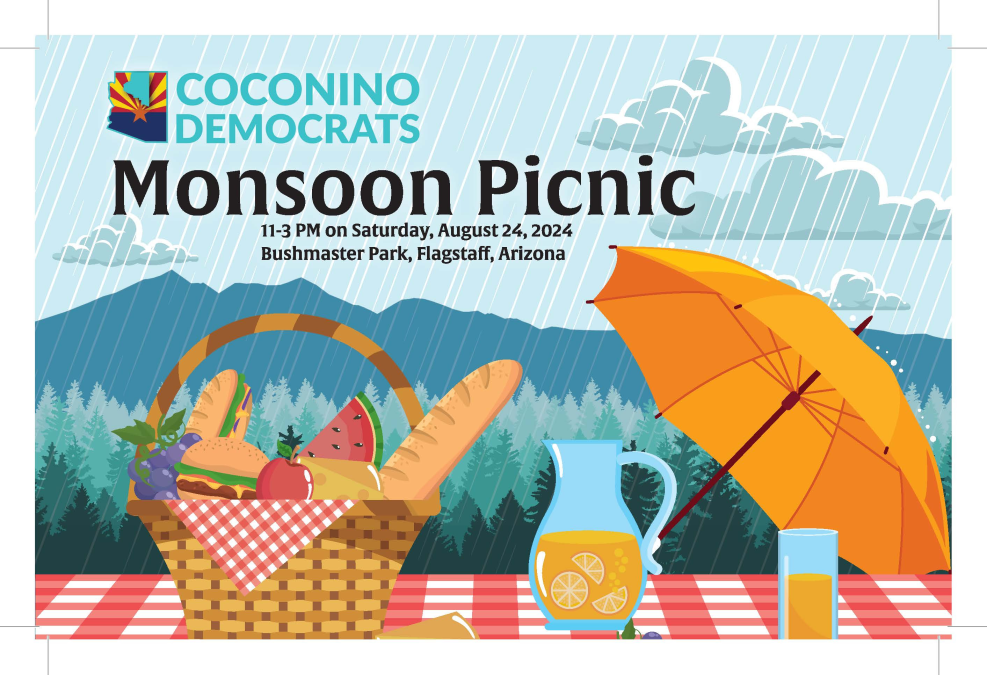 Monsoon Picnic!